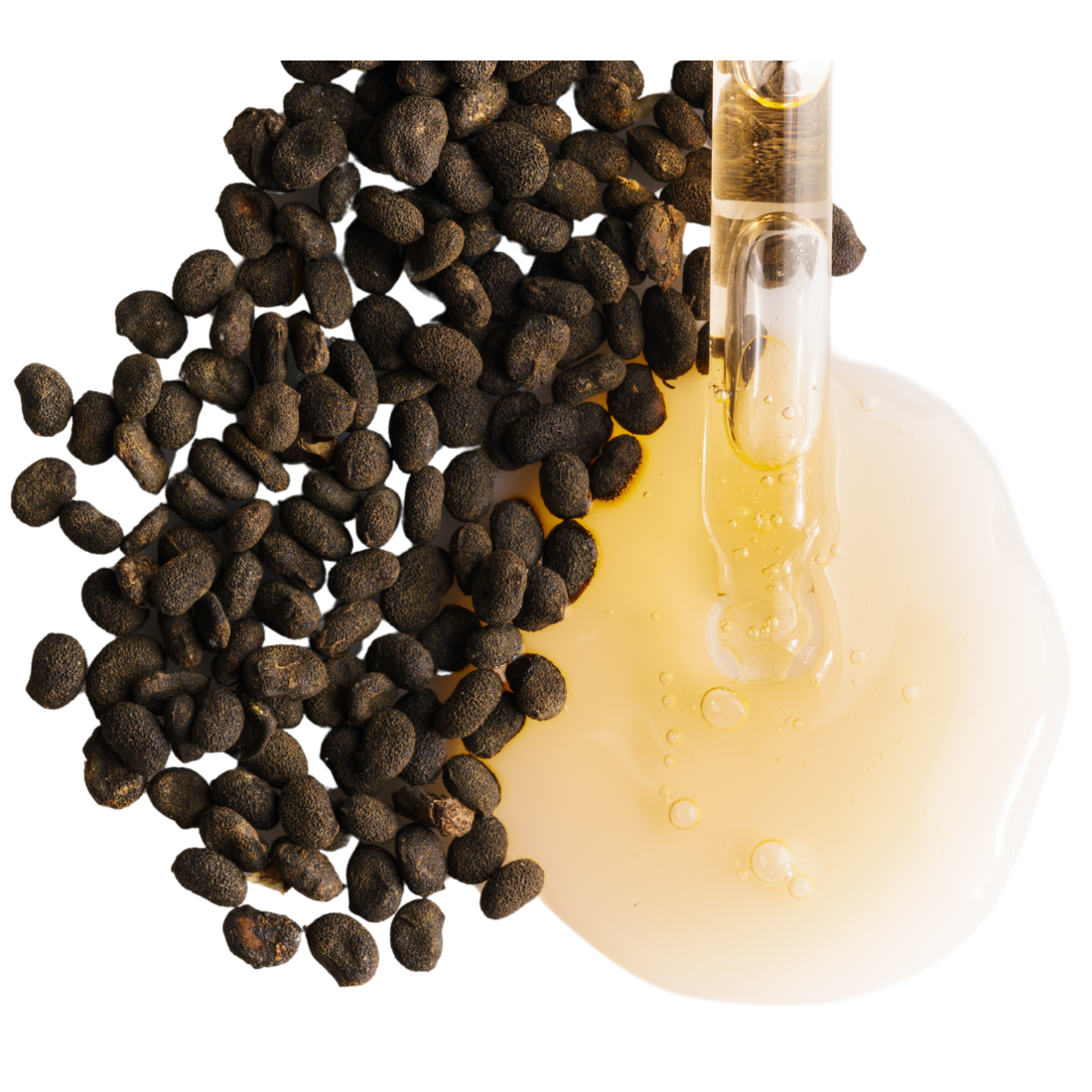 Bakuchi Oil (Babchi Oil) 100% Pure & Natural by Naturevibe Botanicals